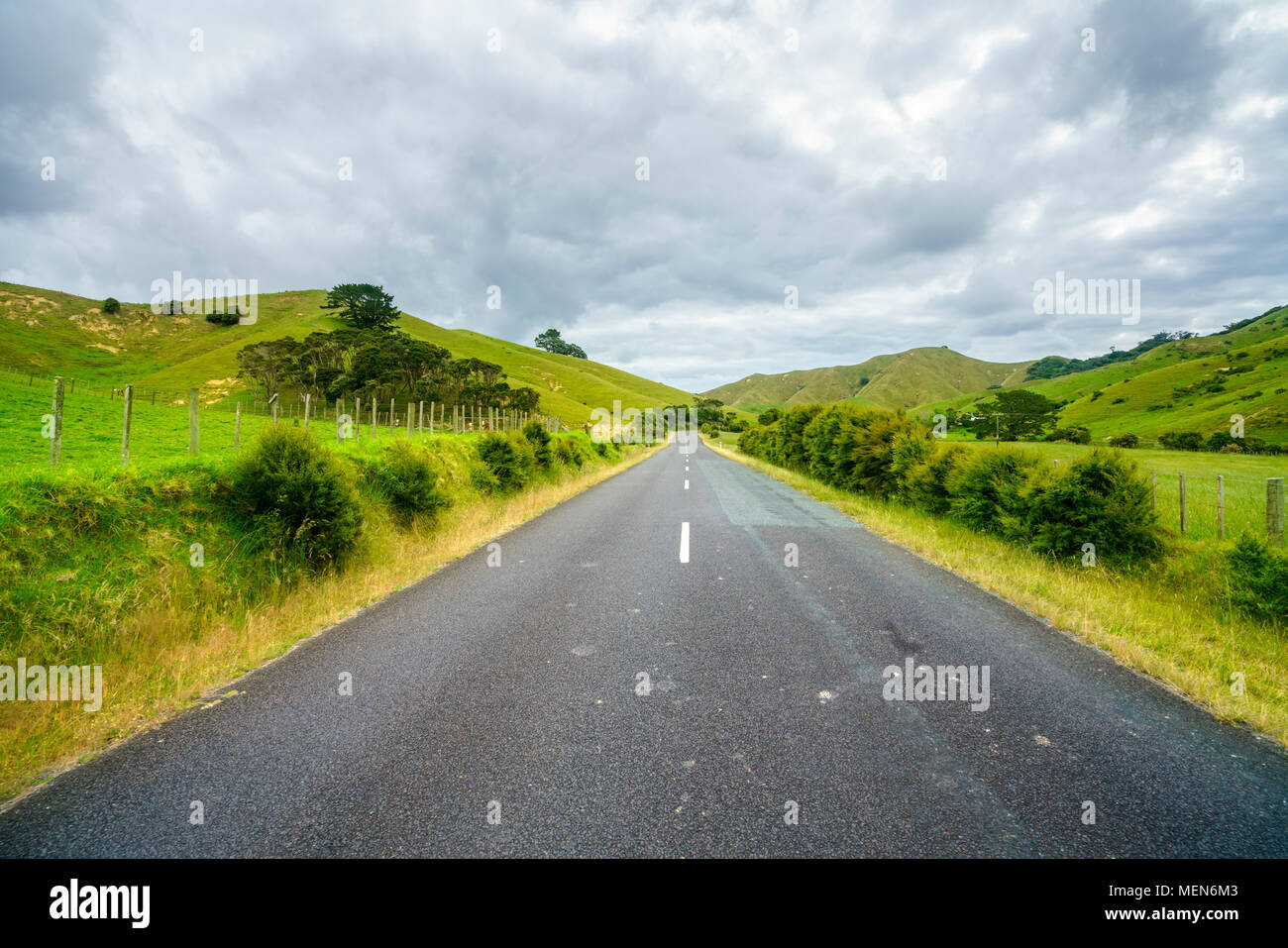 On the Road at beautiful Coromandel Peninsula, New Zealand Stock Photo ...