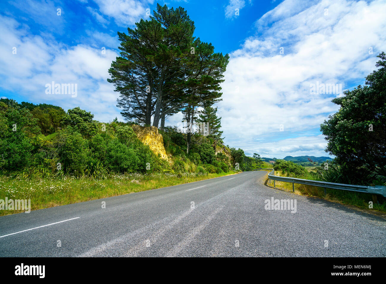 On the Road at beautiful Coromandel Peninsula, New Zealand Stock Photo ...