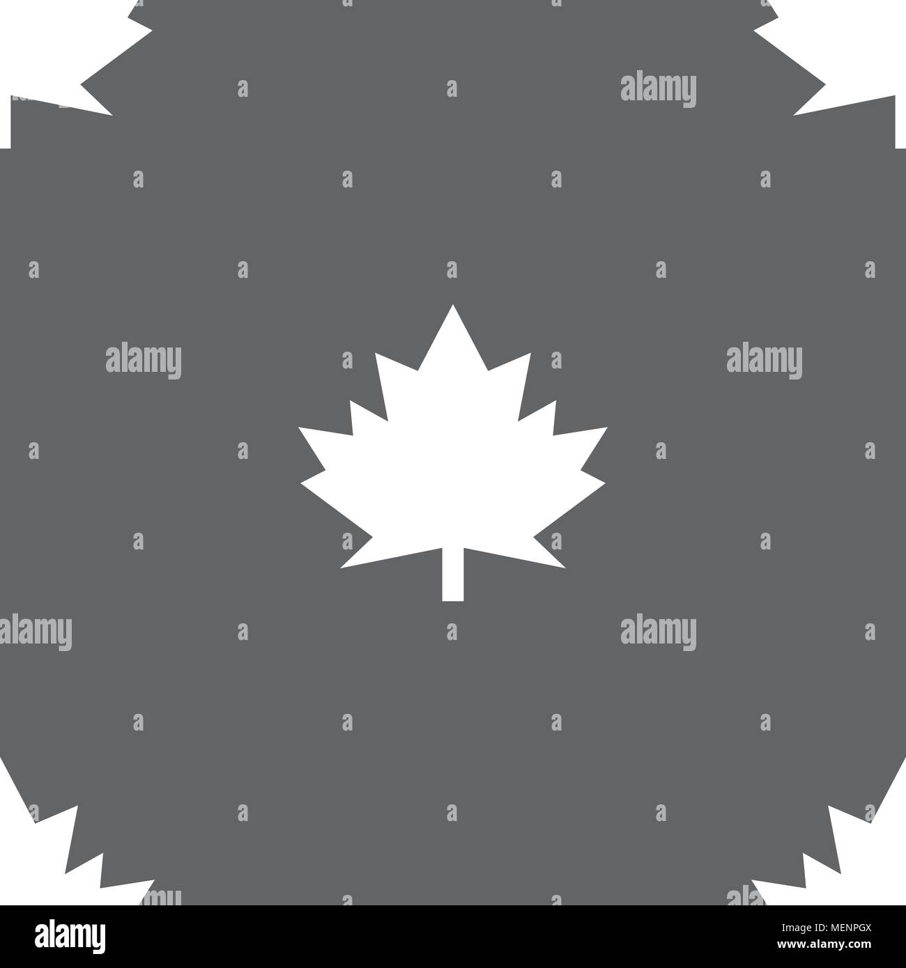 Maple leaf icon. Seamless pattern on a gray background. Vector ...