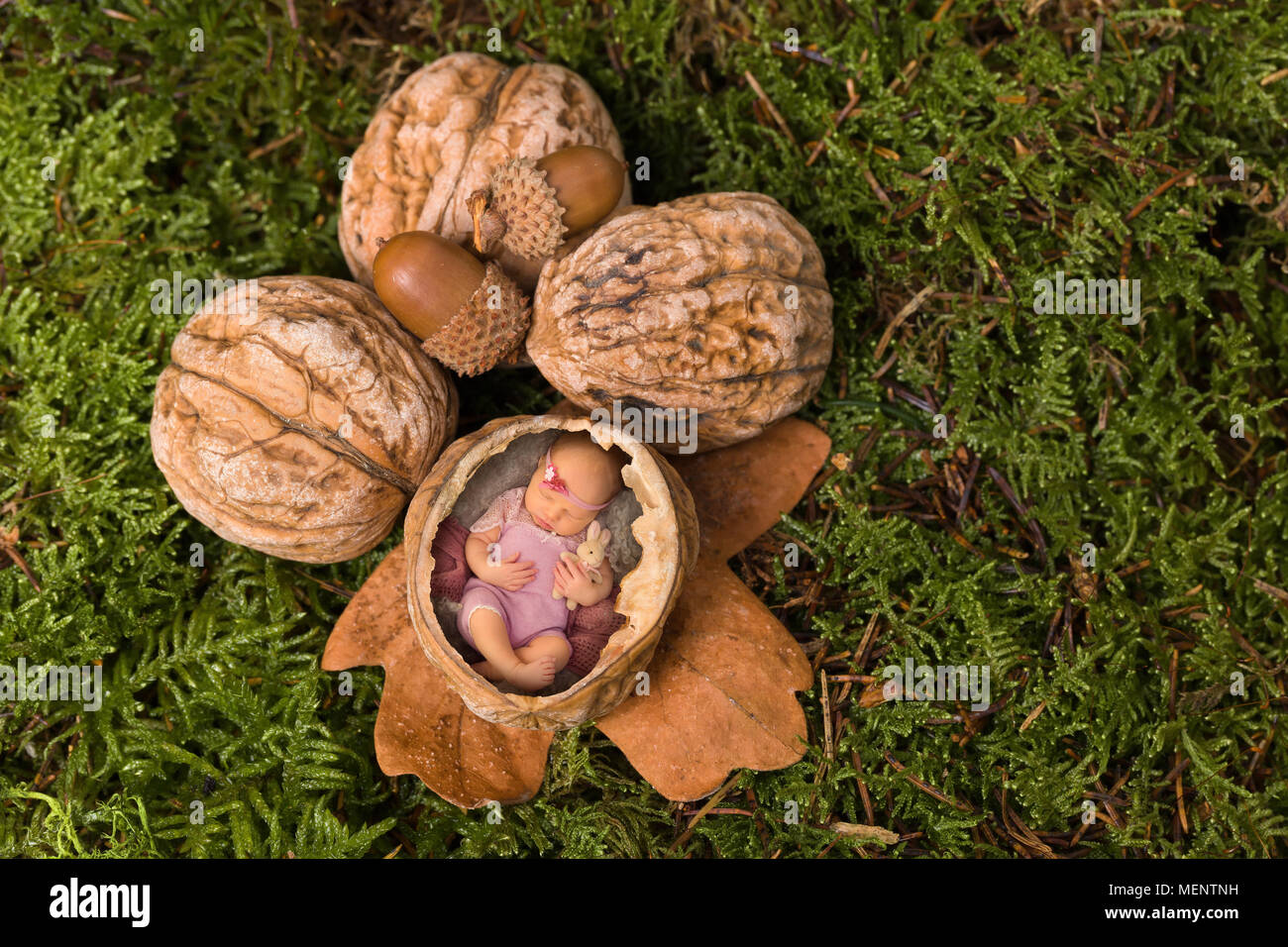 Baby nuts hi-res stock photography and images - Alamy