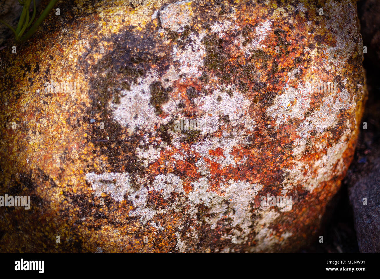 Photo lichen on stones hi-res stock photography and images - Alamy