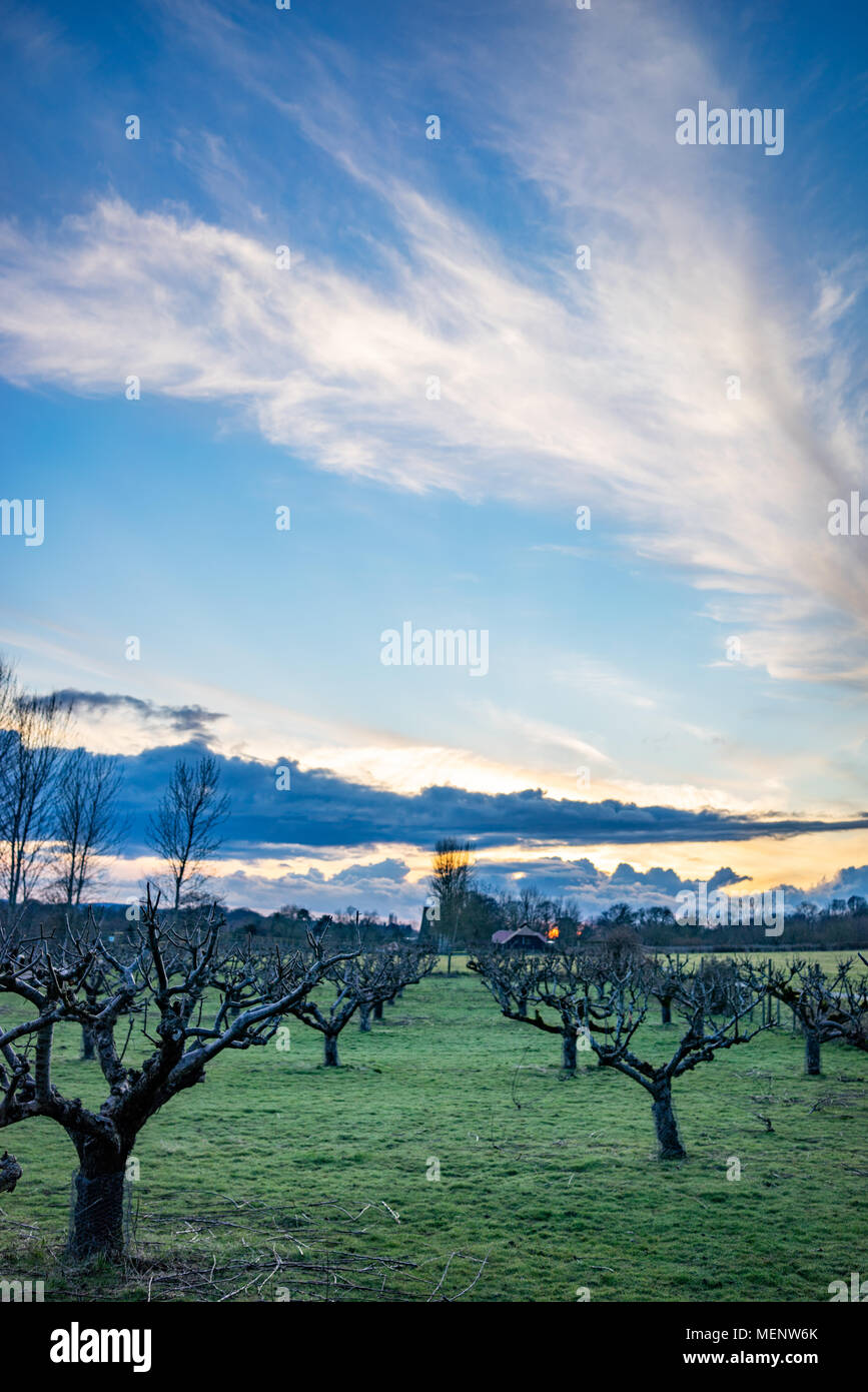Sussex vineyards hi-res stock photography and images - Alamy