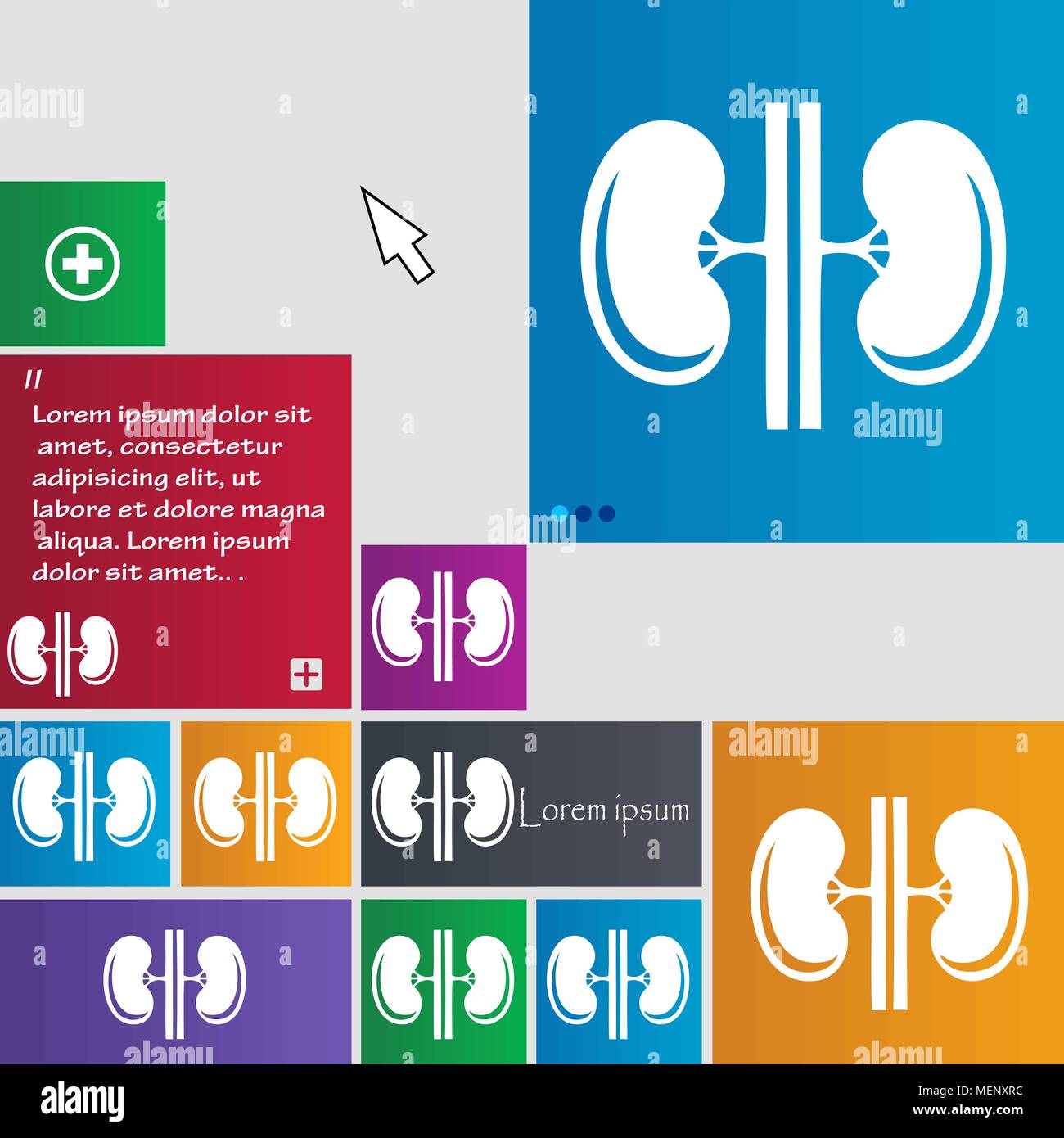 Kidneys icon sign. buttons. Modern interface website buttons with ...