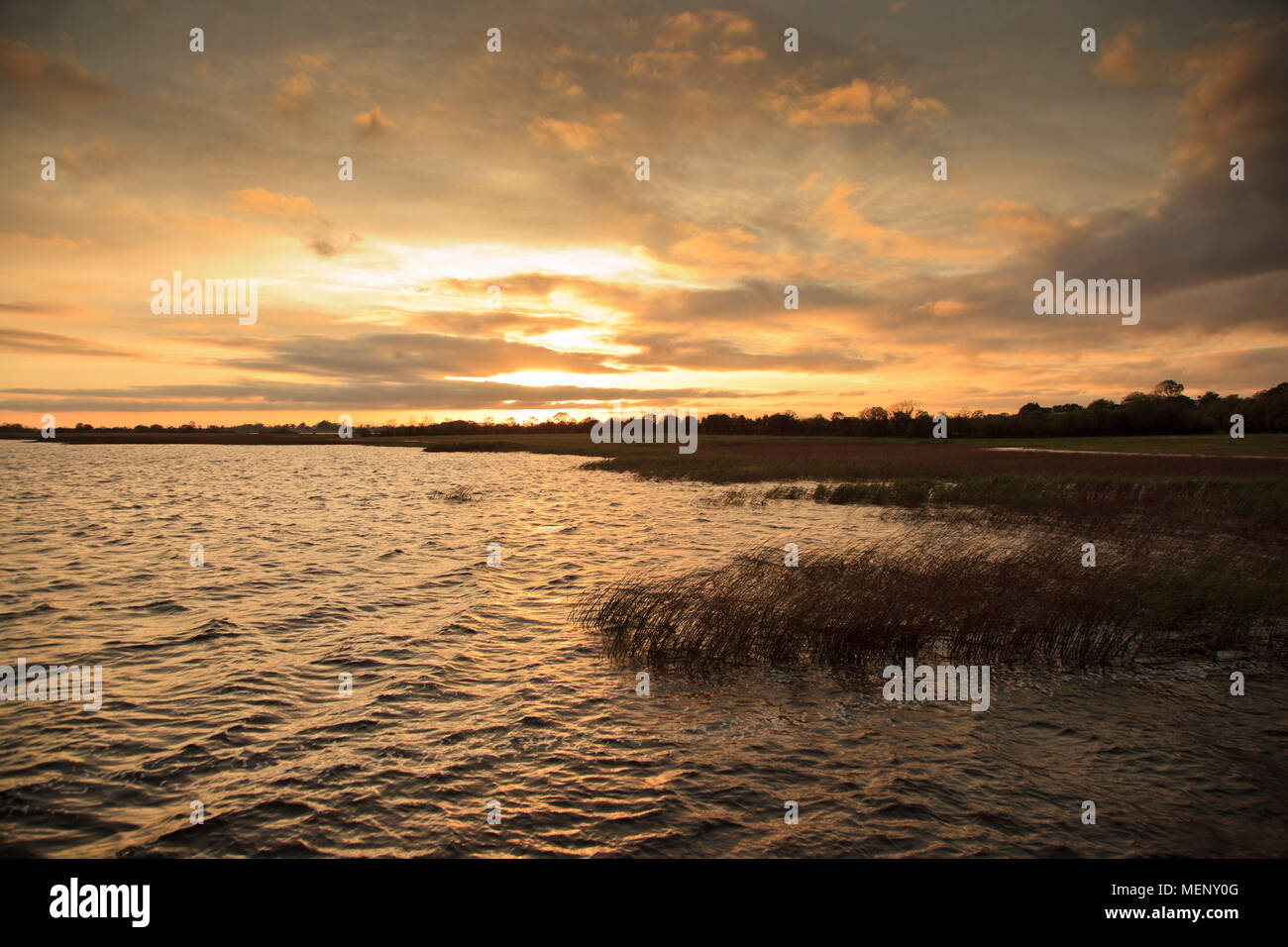 Lough ree shannon hi-res stock photography and images - Alamy