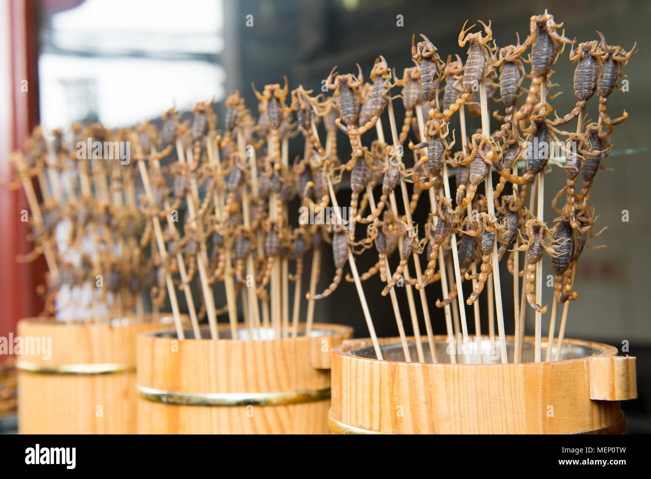 Fried scorpions hi-res stock photography and images - Alamy