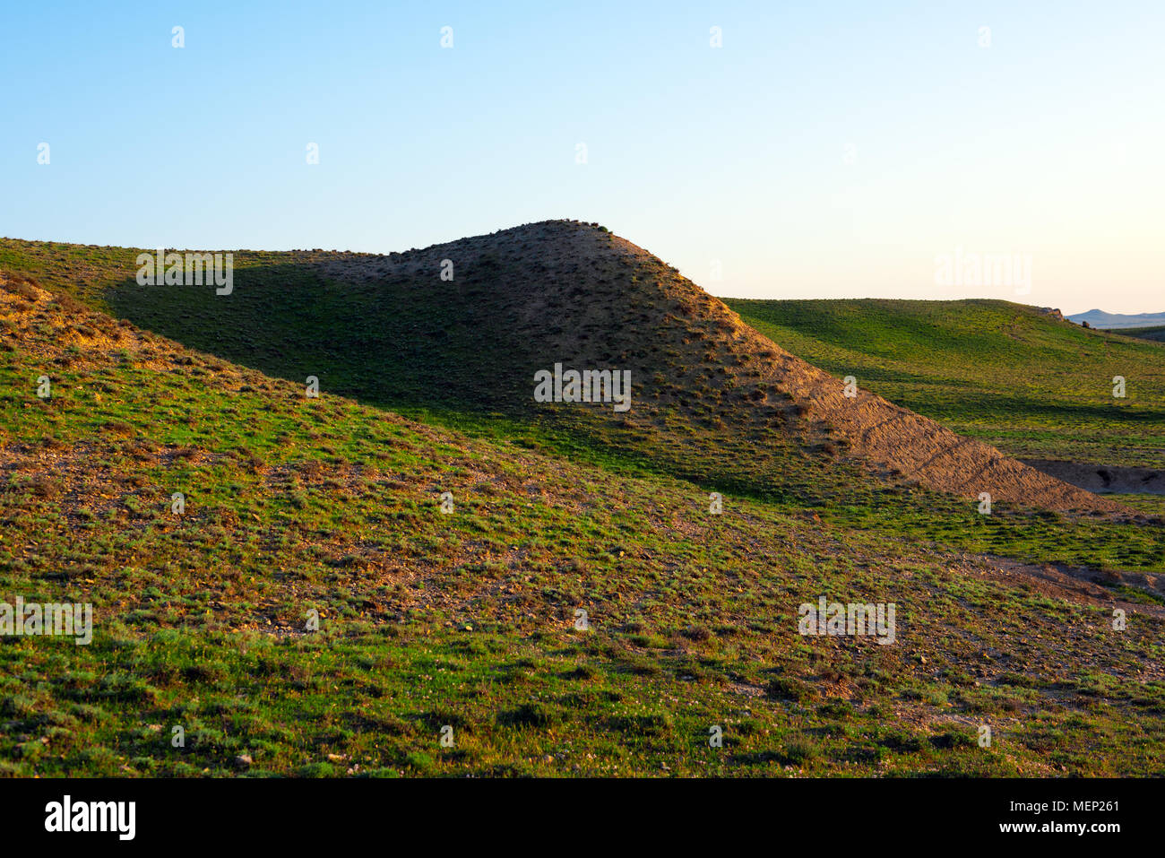 Beautiful nature amazing sun green hi-res stock photography and images ...