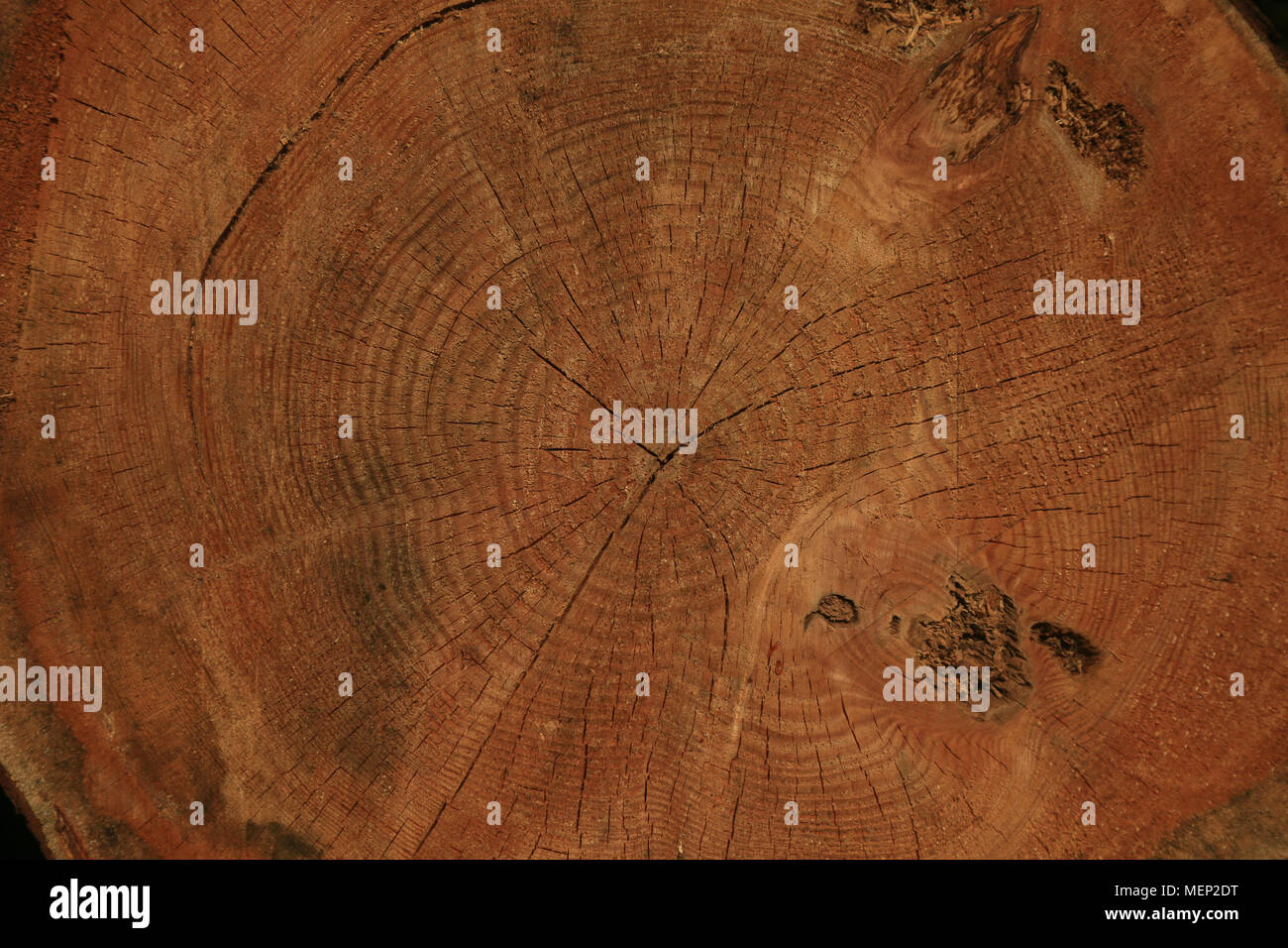 Pine wood grain texture hi-res stock photography and images - Alamy