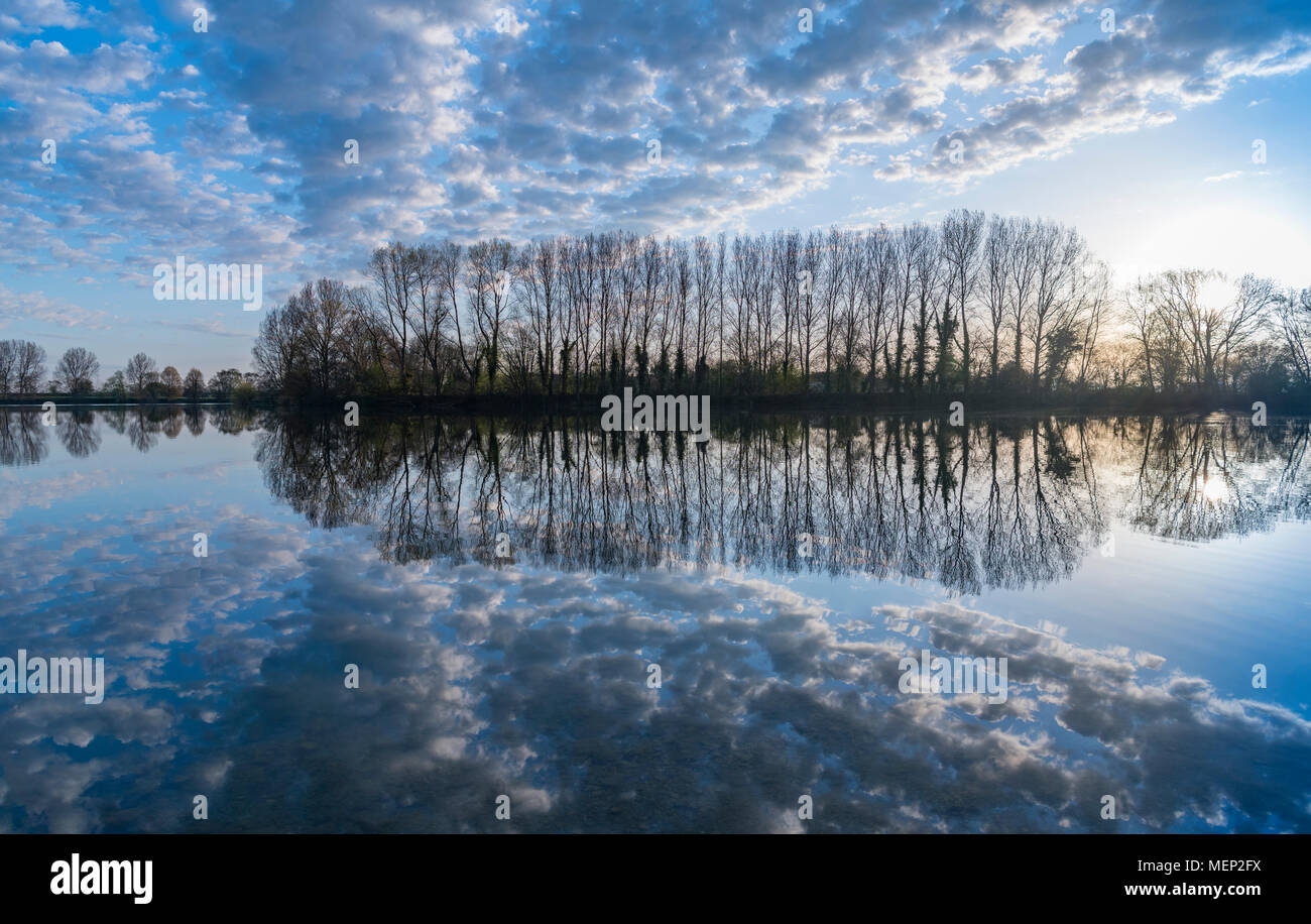 Reflections tree hi-res stock photography and images - Alamy