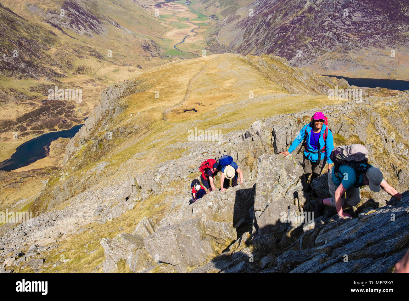 Hikers scrambling up Y Gribin ridge route to Glyder Fach in mountains ...