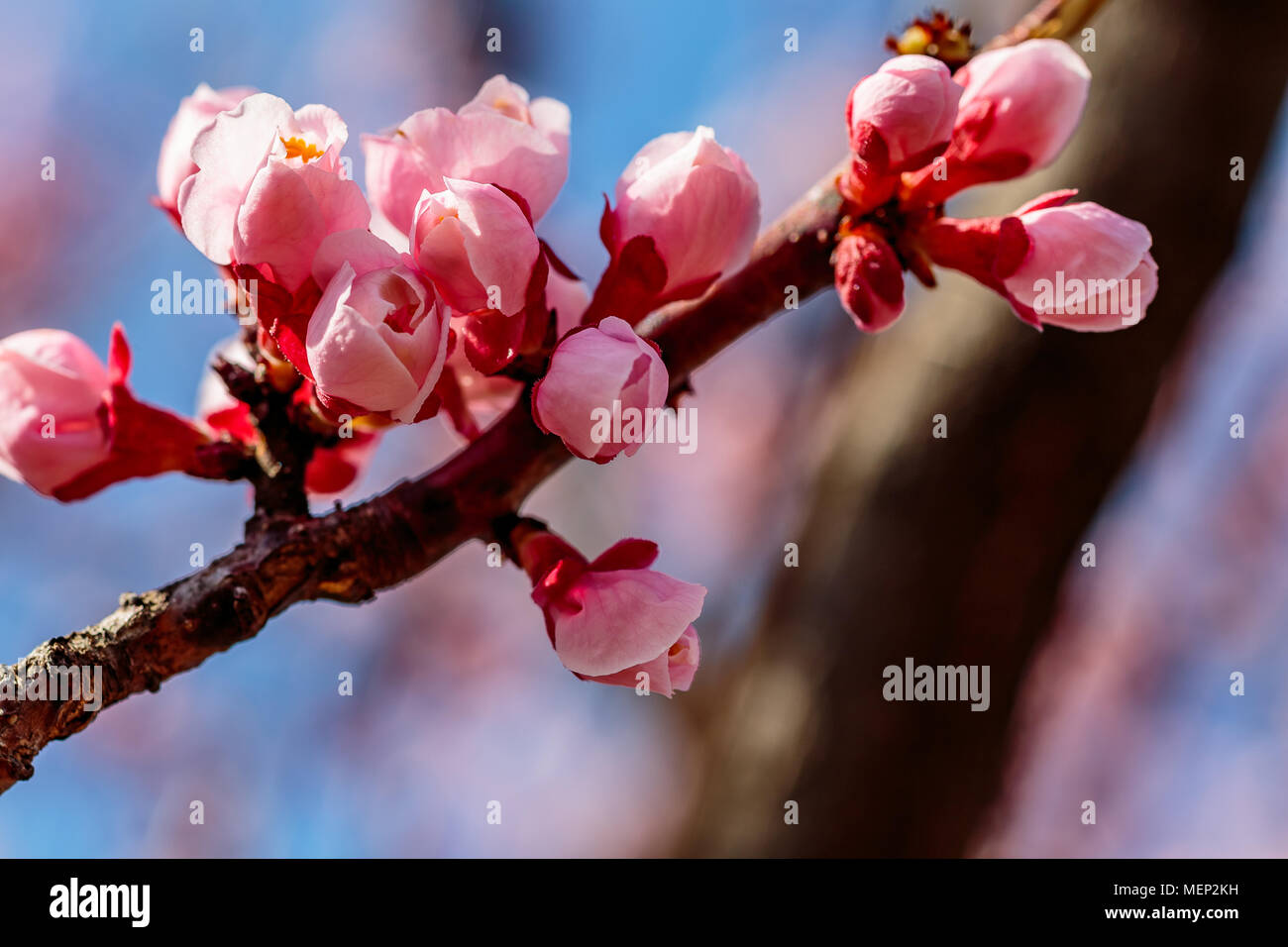 Beautiful Spring Day Wallpaper
