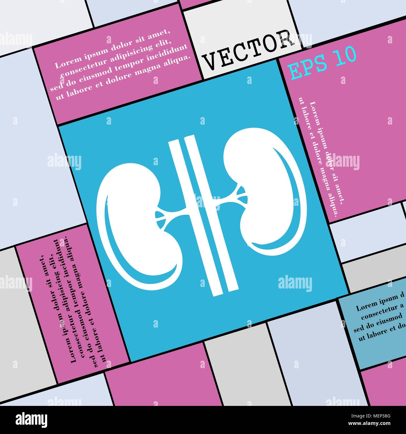 Kidneys icon sign. Modern flat style for your design. Vector ...