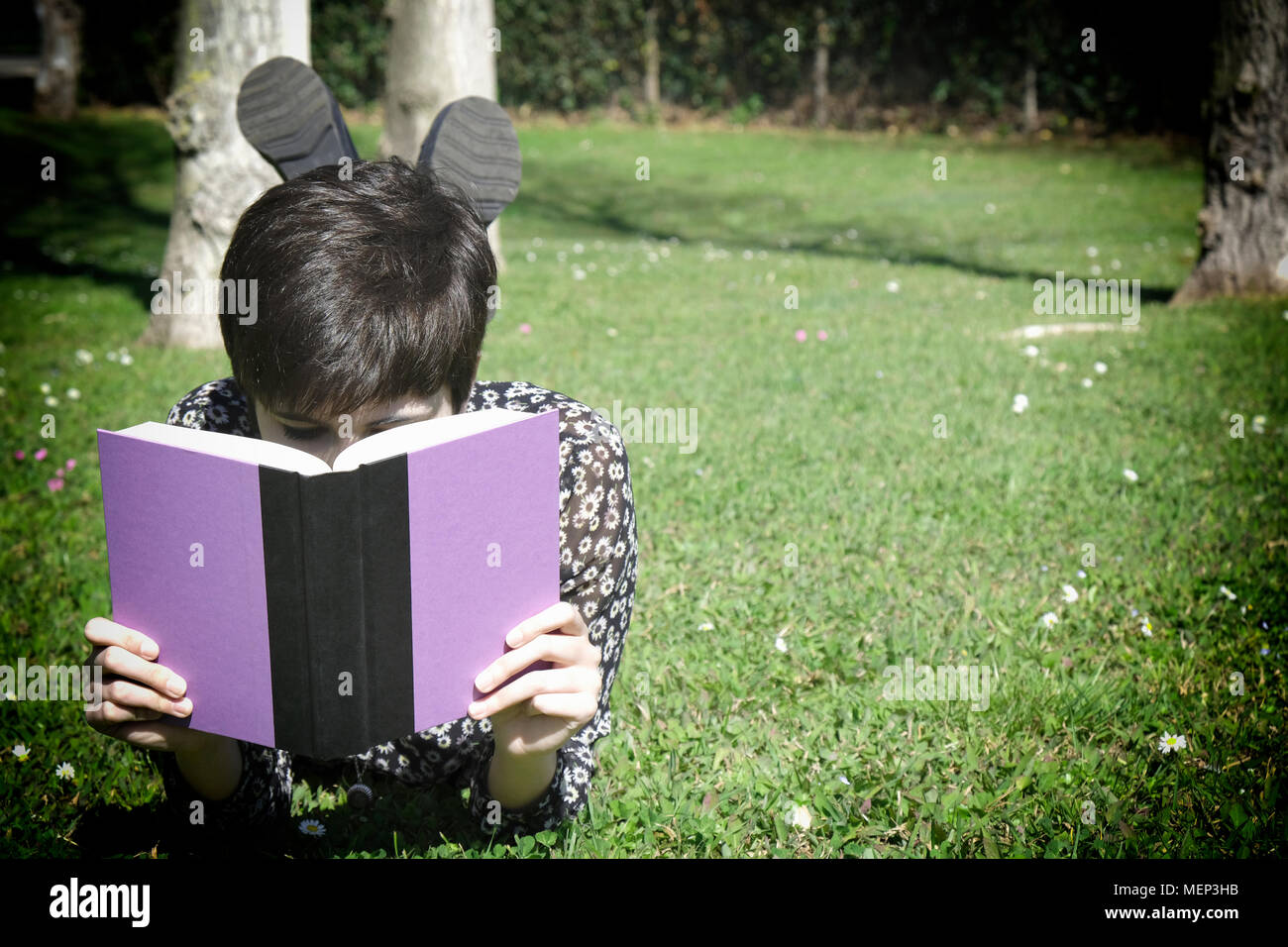 Book vignette hi-res stock photography and images - Alamy