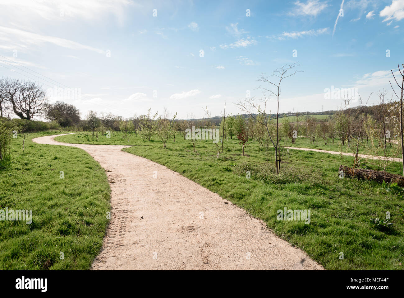 The nature reserve at Chester Zoo Stock Photo - Alamy