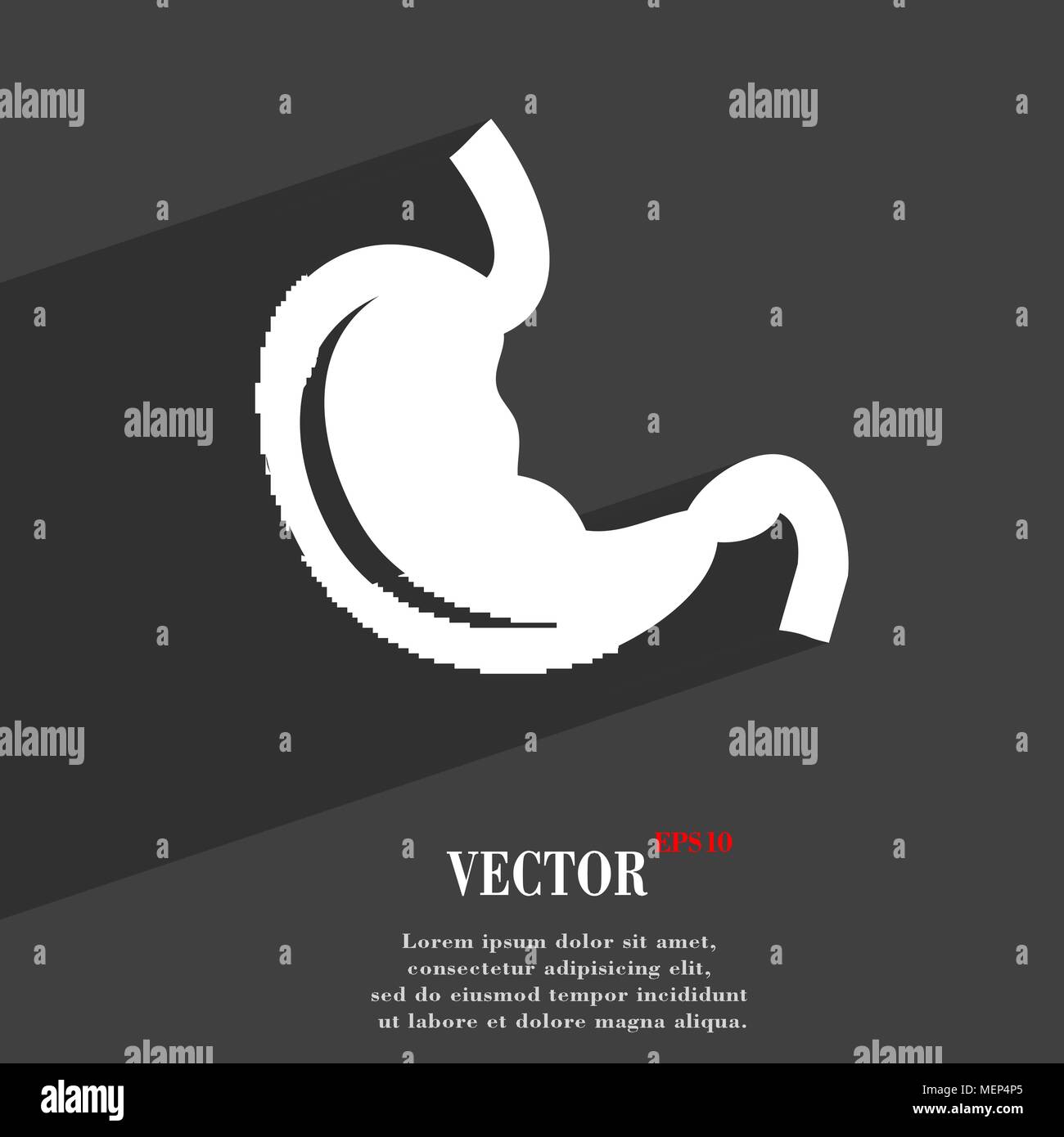 Stomach symbol Flat modern web design with long shadow and space for ...