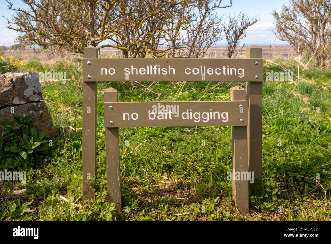 No Shellfish Collecting and No Bait Digging sign, Aberlady Bay, East ...