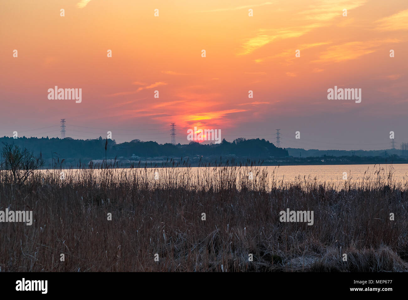 Inba numa hi-res stock photography and images - Alamy