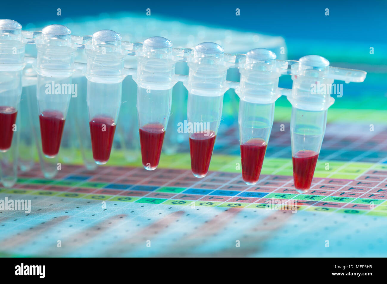 PCR 8 Tube Strips Stock Photo - Alamy