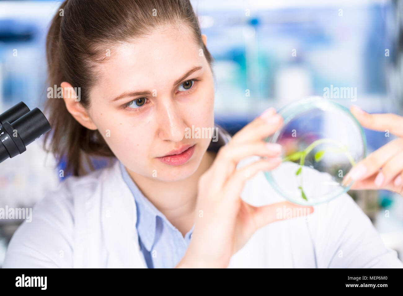 Plant tissue culture laboratory hi-res stock photography and images - Alamy