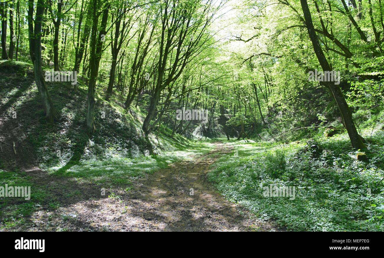 Deep narrow ravine hi-res stock photography and images - Alamy