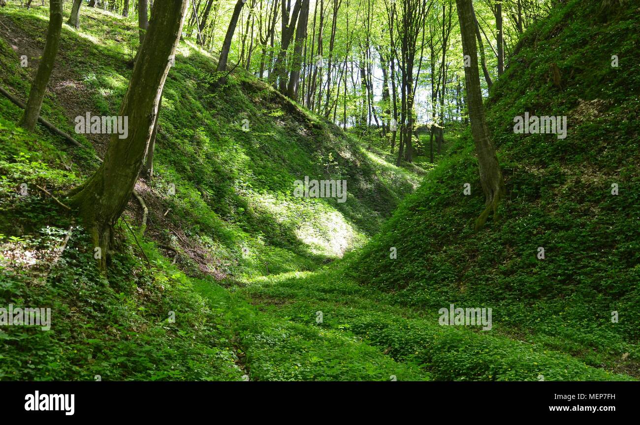 Deep narrow ravine hi-res stock photography and images - Alamy