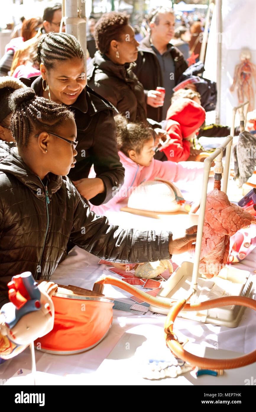 Students touch a human lung to see how it works at a biology display at ...