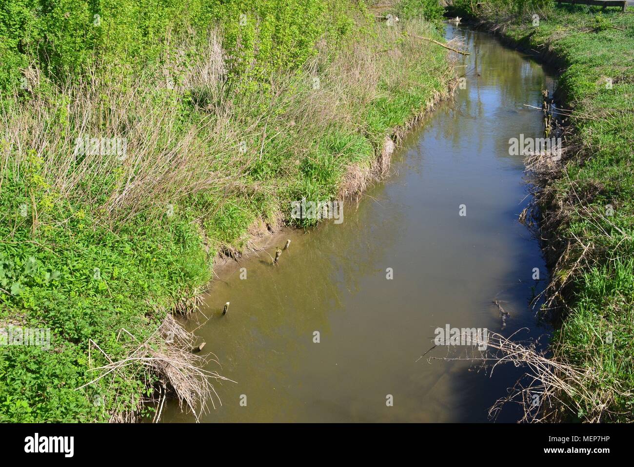 Small river creek in hi-res stock photography and images - Alamy