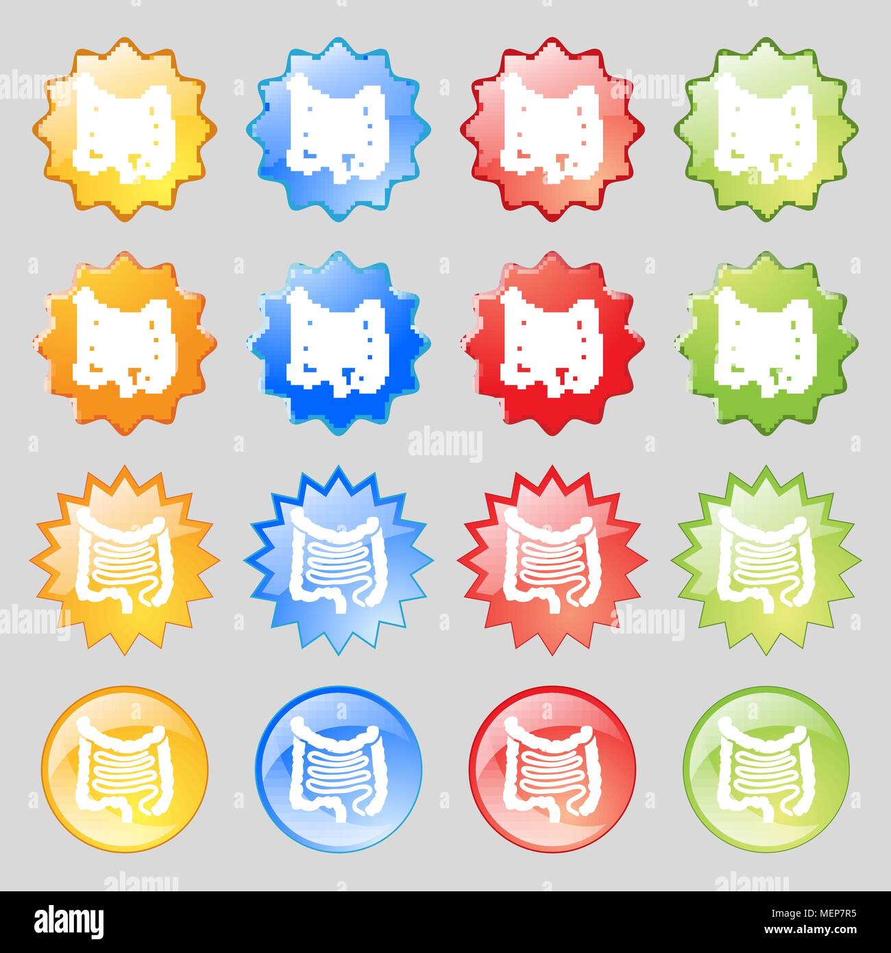Intestines icon sign. Big set of 16 colorful modern buttons for your ...