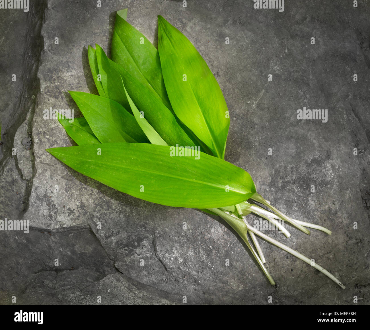 Bunch of fresh wild garlic hi-res stock photography and images - Alamy