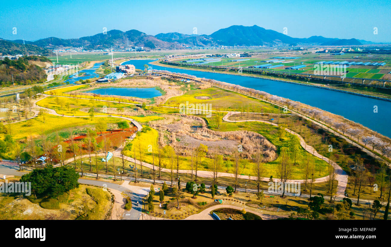 Aerial view of Suncheonman Bay International Garden in Suncheon city of ...