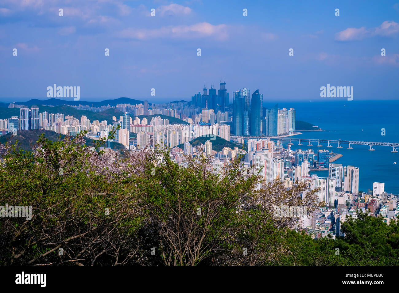 Aerial view of Gwangalli beach and Gwangan bridge in Busan city of ...