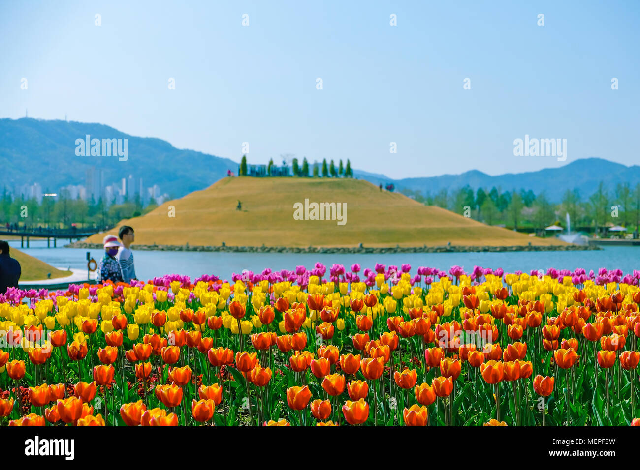 Tourist traveling at Suncheonman bay international garden in Suncheon ...