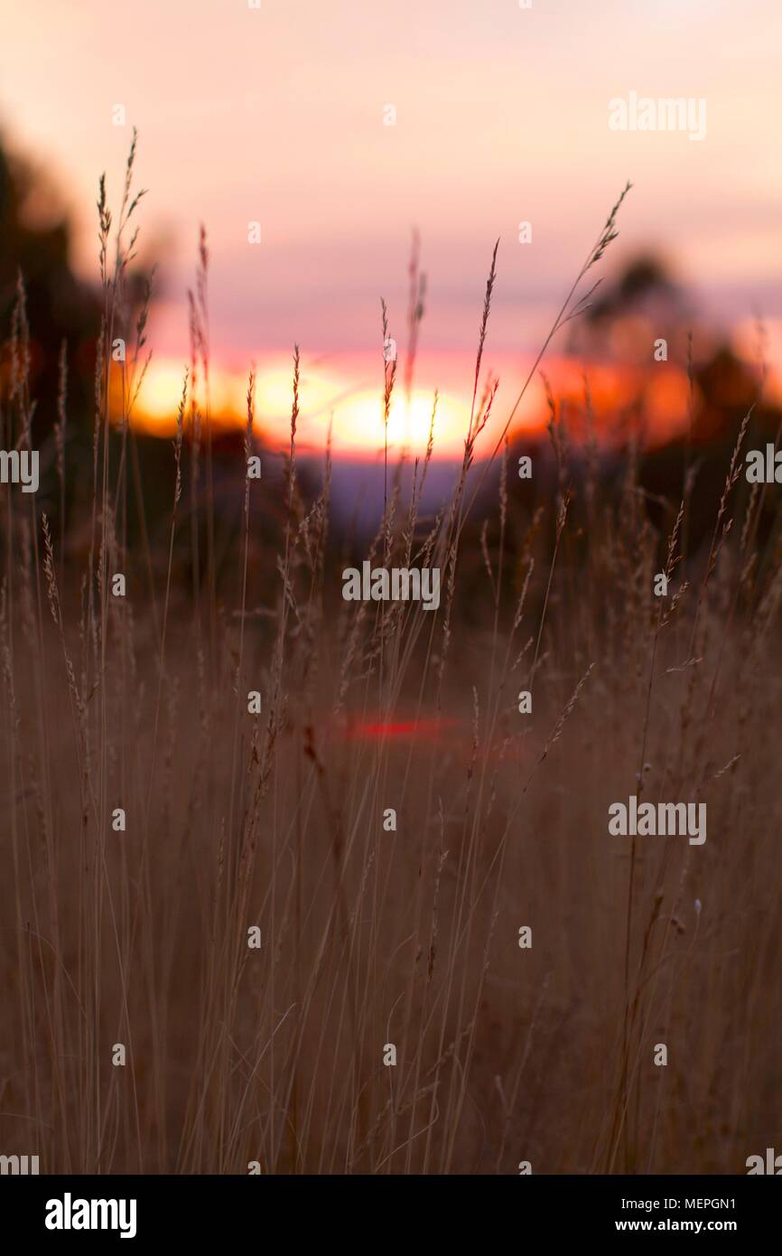 Northern arizona hi-res stock photography and images - Alamy