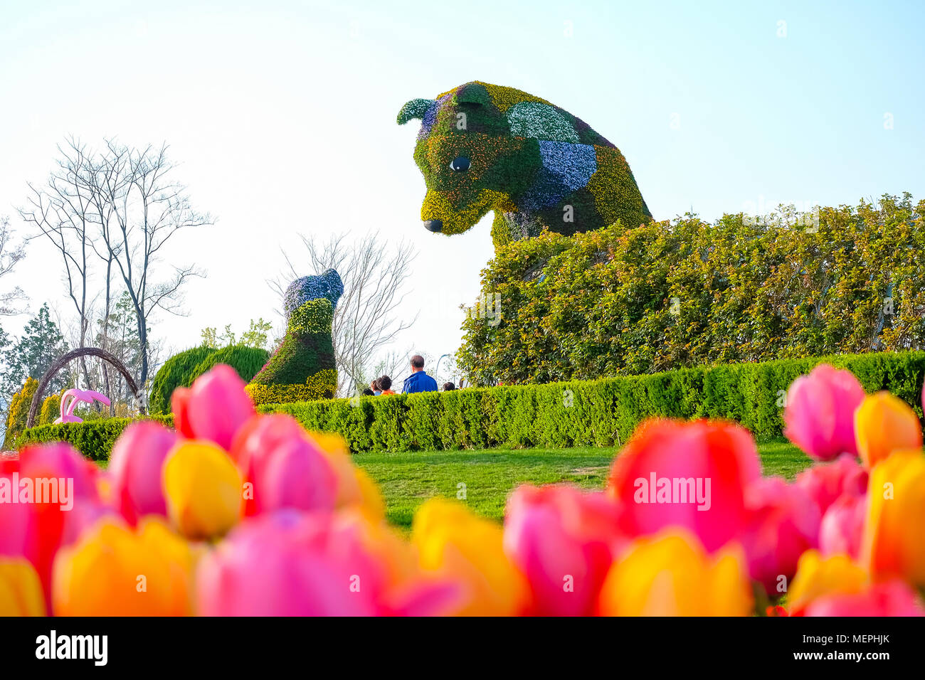 Suncheonman bay international garden in Suncheon city of South Korea ...