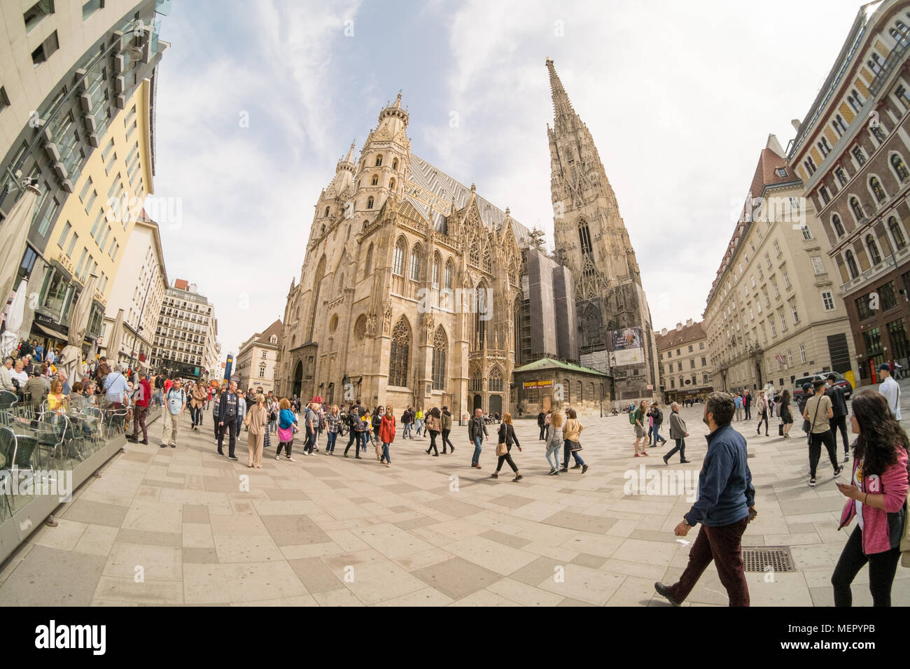 St. Stephens' Cathedral, Stephansplatz square, Vienna, Austria Stock ...