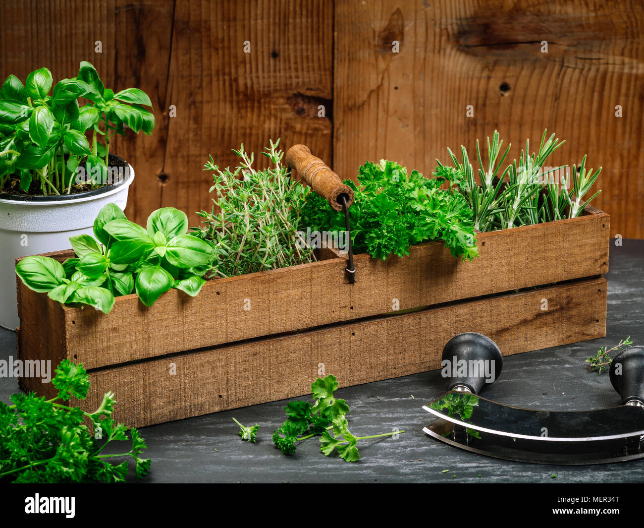 Photo of basil, rosemary, thyme, and parsley in an old wooden box on a ...