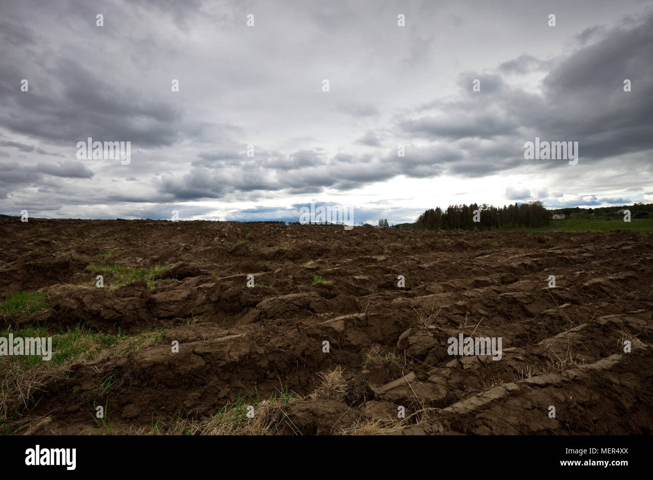 The freshly plowed soil of a field in spring Stock Photo - Alamy