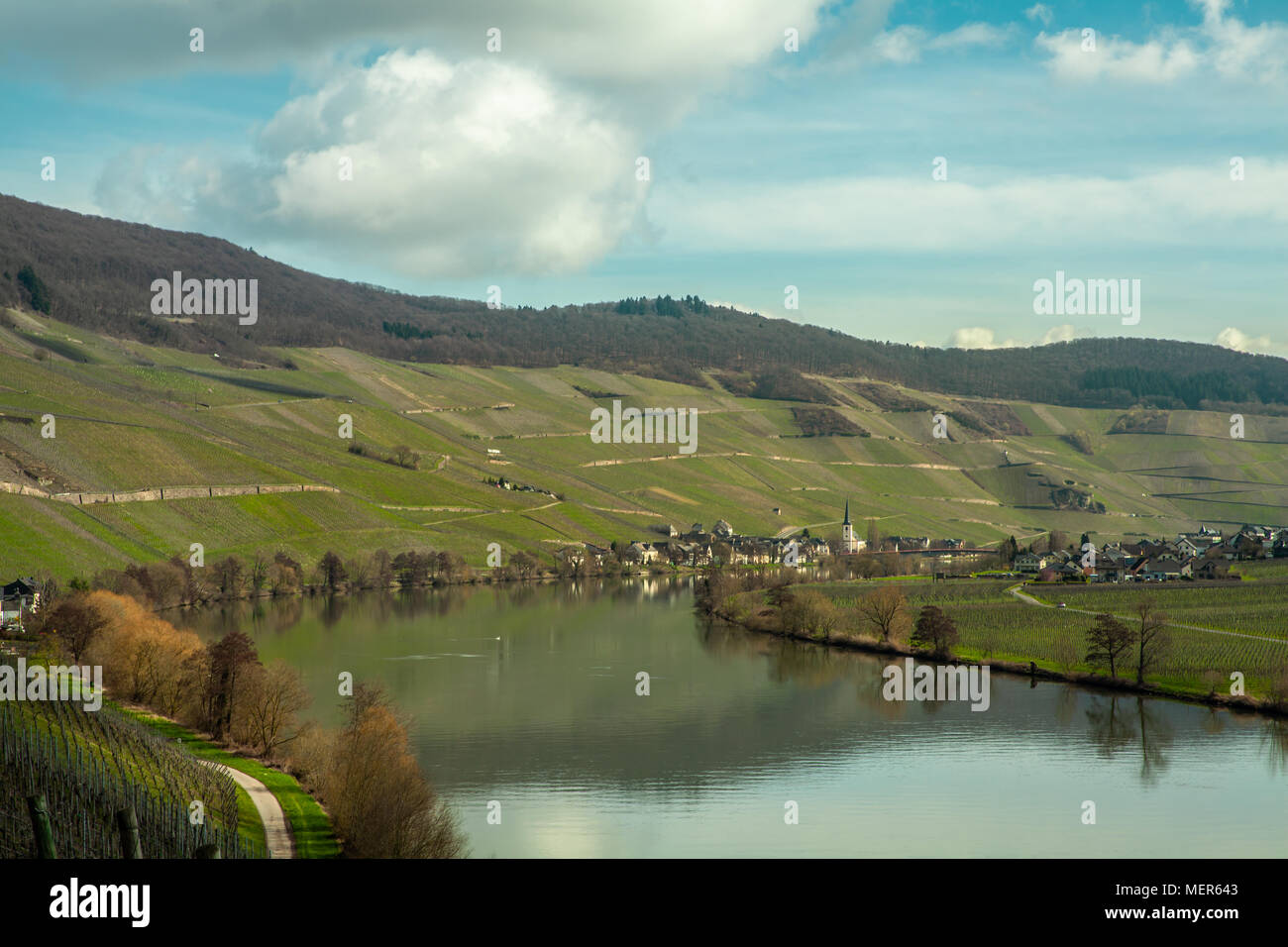 Moselle countryside vineyards Landscape at Spring Germany Mosel Wine ...