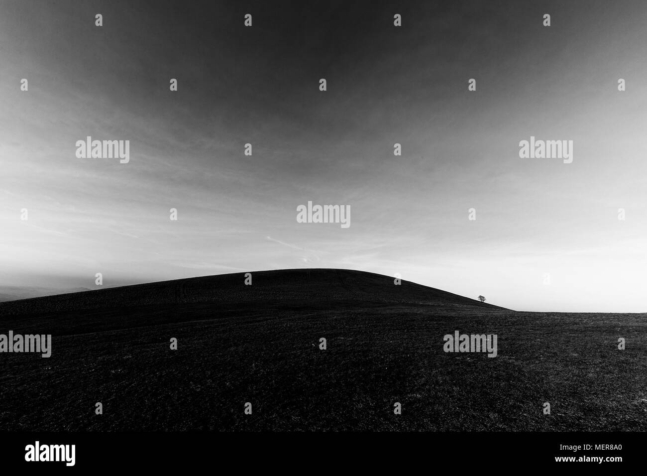 A distant, loney tree on a bare hill, beneath a deep sky with white ...