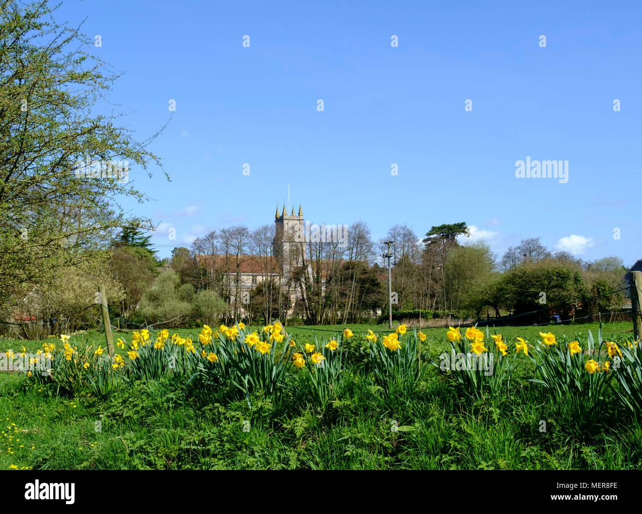 Tisbury,a wiltshire village near salisbury. England UK Stock Photo - Alamy