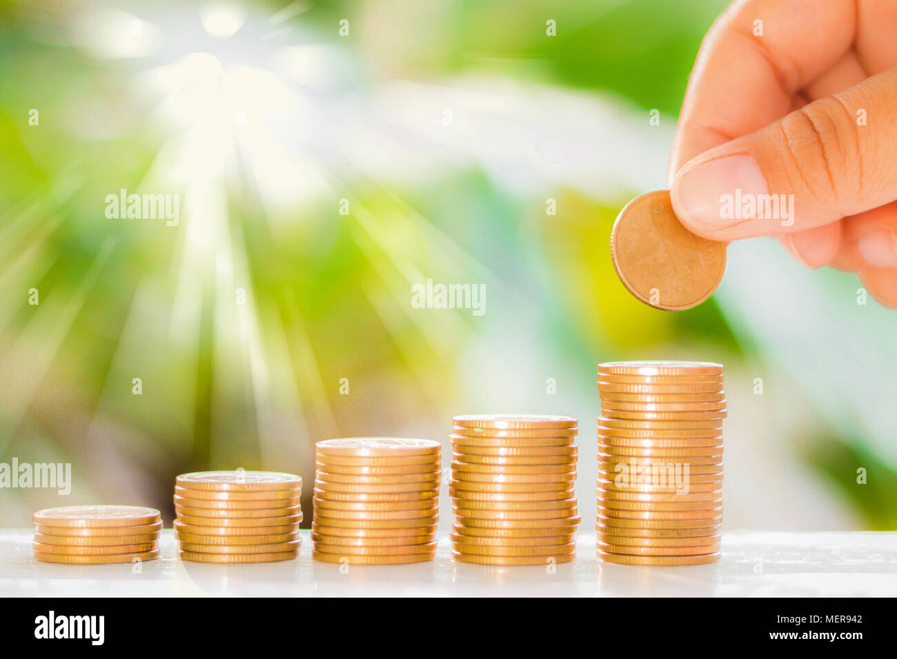 Human hand showing collect golden coins with nature background Stock ...