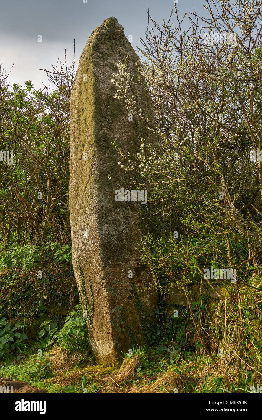 Rith hi-res stock photography and images - Alamy