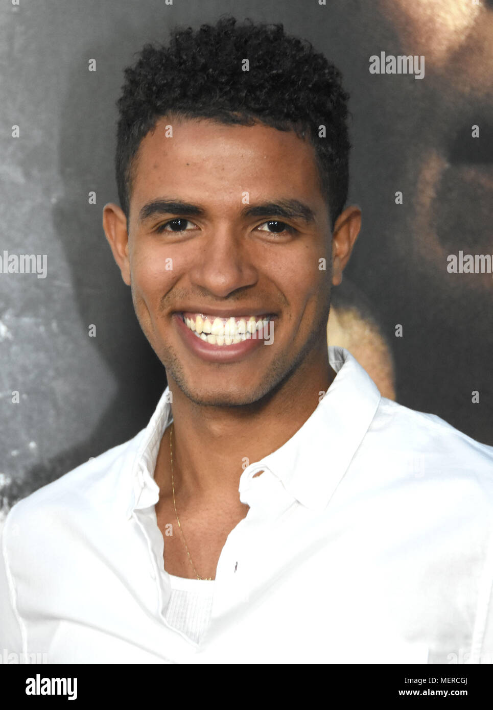 Mandela Van Peebles High Resolution Stock Photography and Images - Alamy