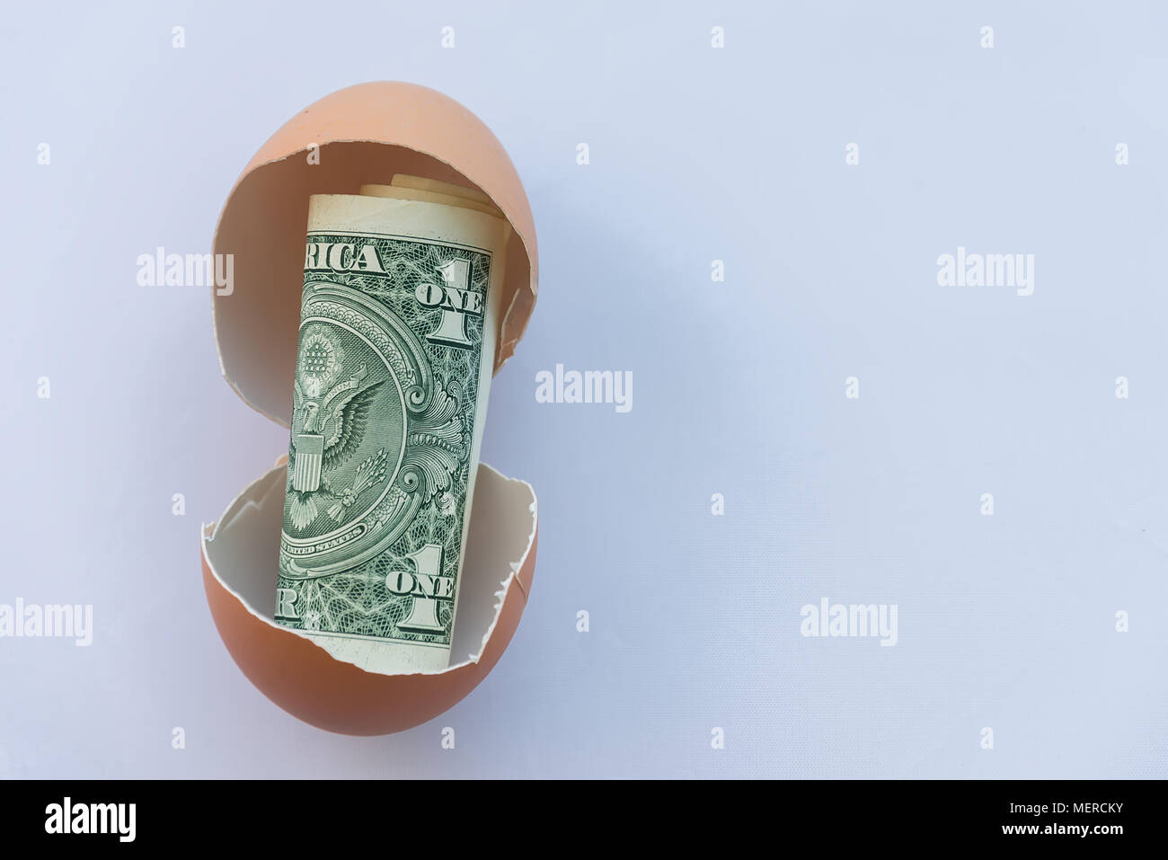 one dollar in an egg shell on white background closeup Stock Photo - Alamy