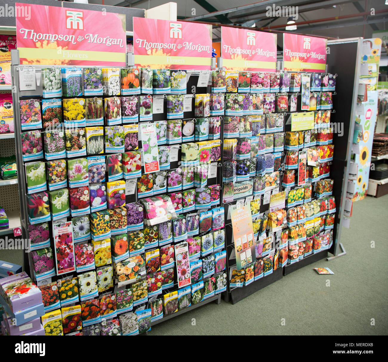 Thompson & Morgan packets of plant seeds on display inside a garden ...