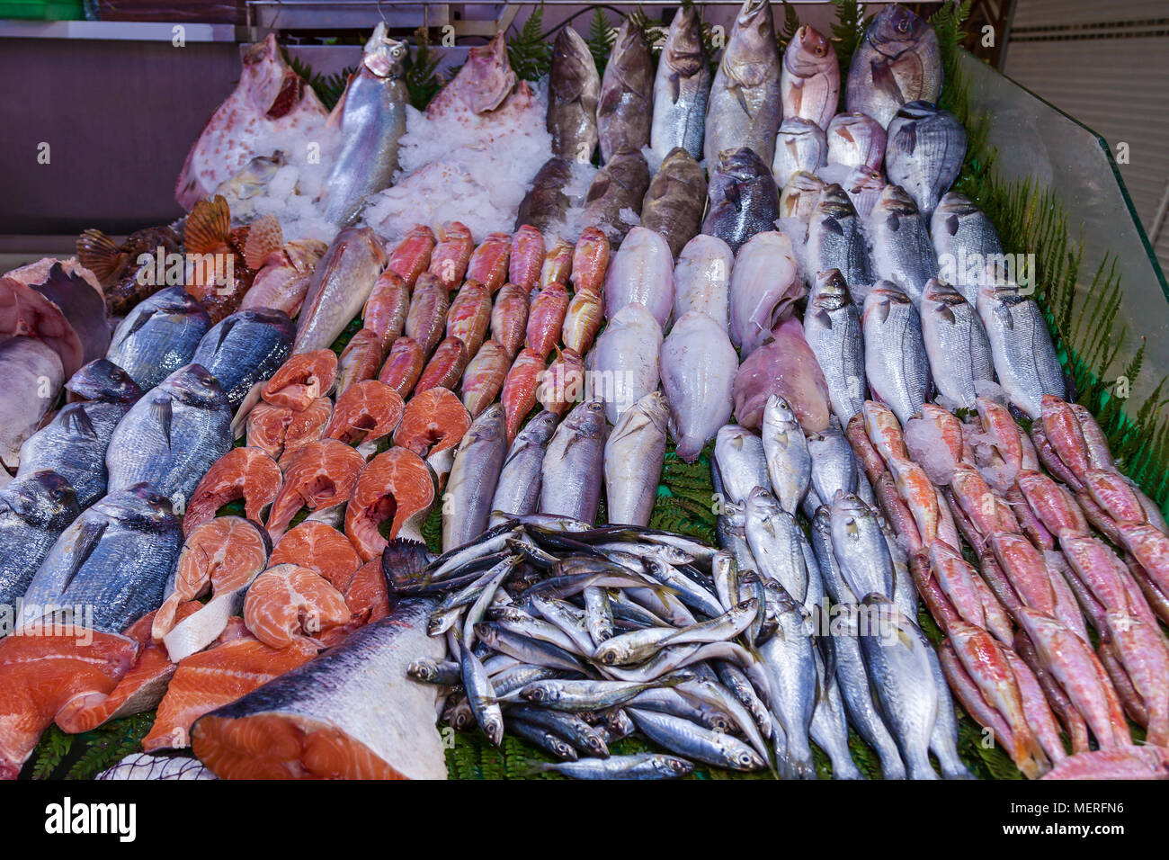 Closeup of assorted seafood and fish at Fish market in Istanbul, Turkey ...
