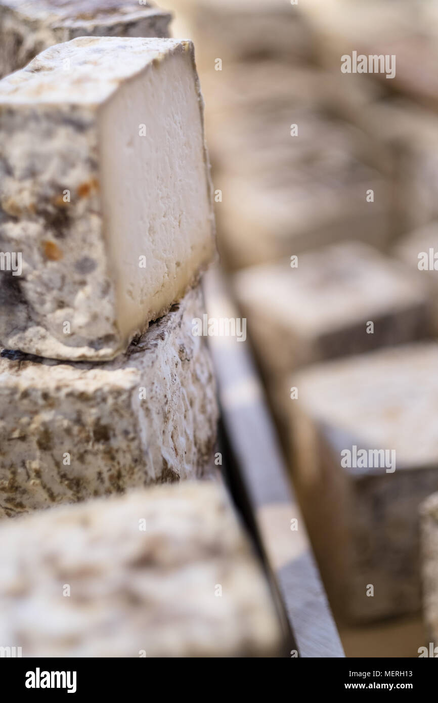 selection of various delicious cheese in the display of a cheesemonger ...