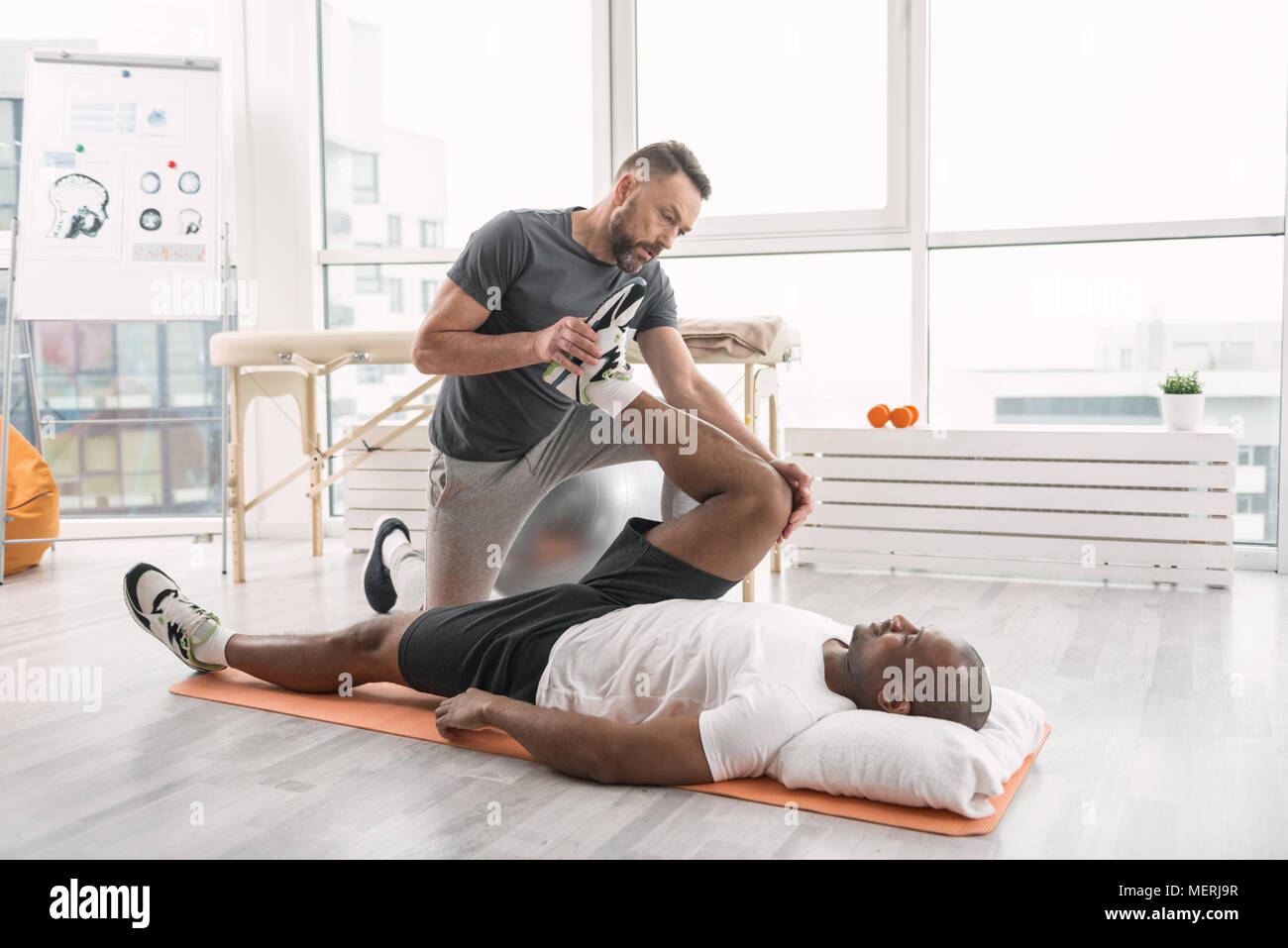 Expert patient trainer hi-res stock photography and images - Alamy