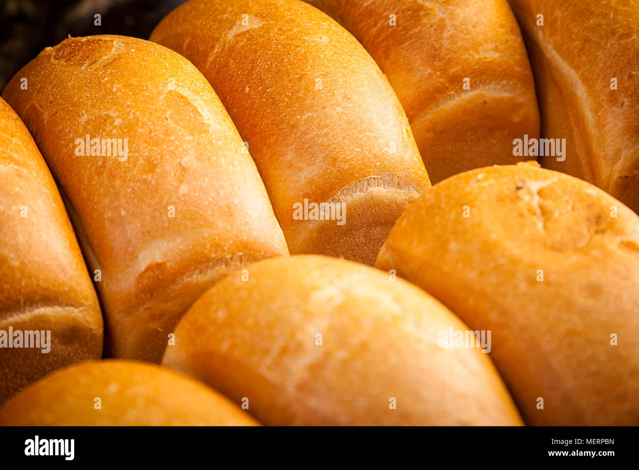Close-up of fresh white bread in rolls stands in even rows in a bakery ...