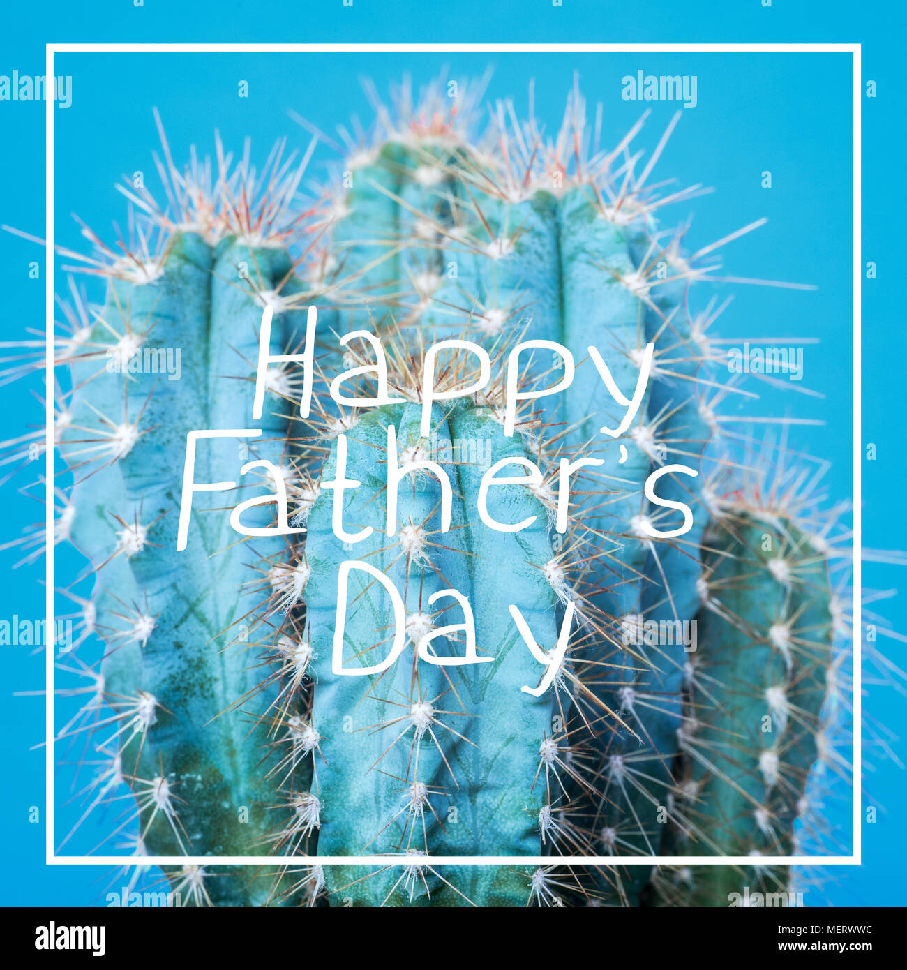 Funny Happy Father's day Background. Crazy Cactus Father day greeting ...