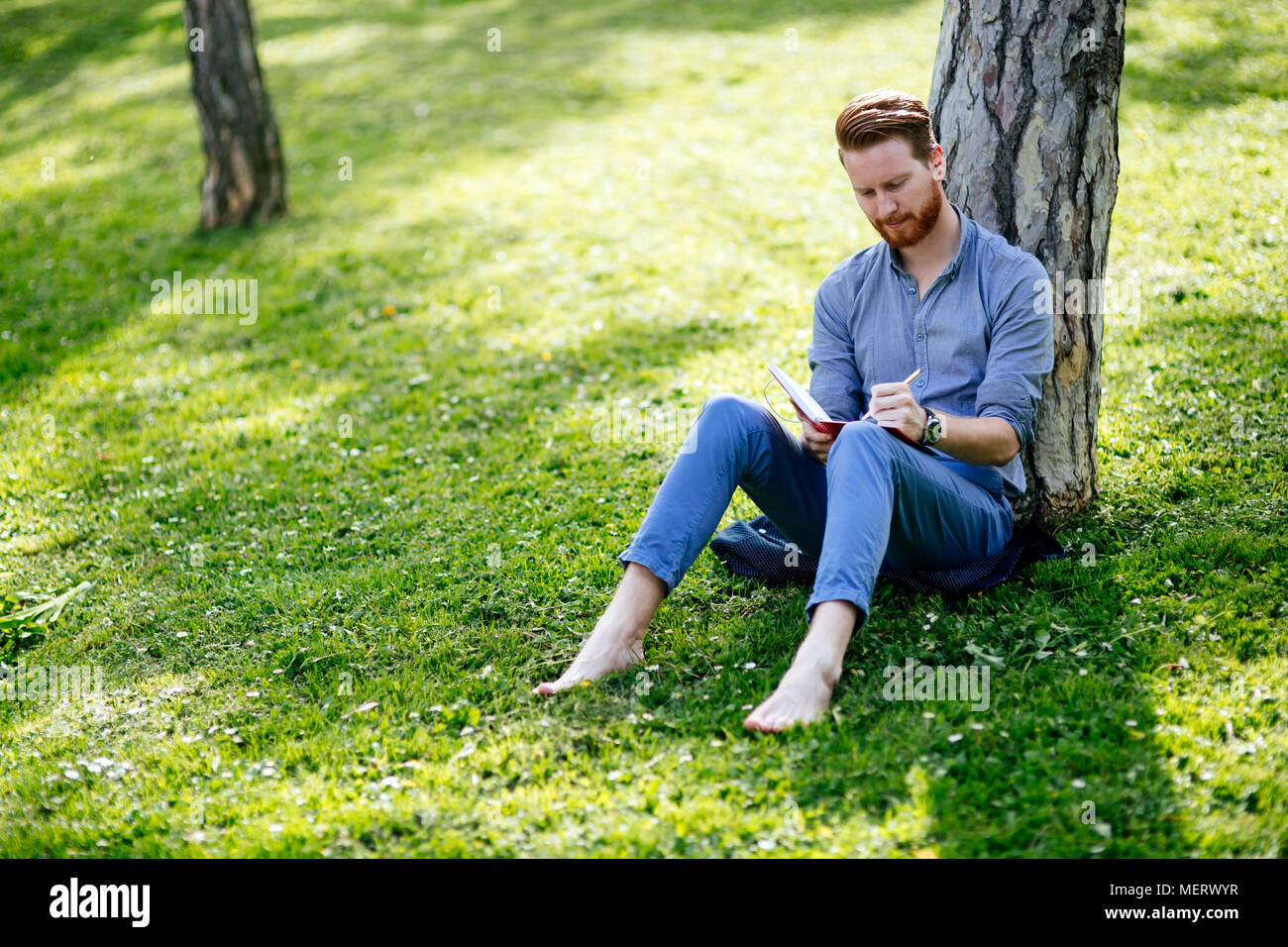 Student studying in park Stock Photo - Alamy